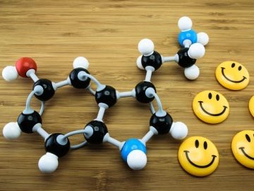 Серотонин: что такое, как повысить гормон